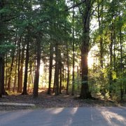 Chestnut Ridge Park - 56 Photos & 27 Reviews - Disc Golf - 6121 ...