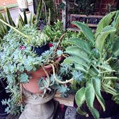 Cafe Mak - Order Online - 761 Photos & 736 Reviews - Coffee & Tea ...