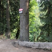 Victor Falls - 32 Photos - Parks - 18212 Rhodes Lake Rd E, Bonney Lake ...