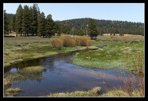 Sherman Pass - Local Flavor - Sherman Pass Rd, Pearsonville, CA - Yelp