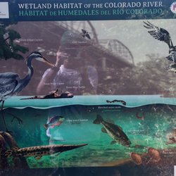 Colorado River Wildlife Sanctuary - Parks - 5827 Levander Lp, East ...