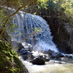 Don Castro Regional Recreation Area - 194 Photos & 50 Reviews - Parks ...
