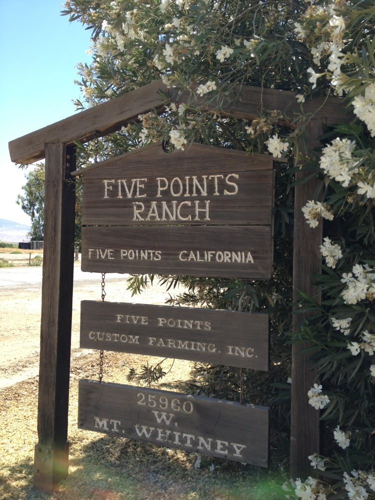 Five Points Ranch - Farmers Market - Five Points, CA - Yelp