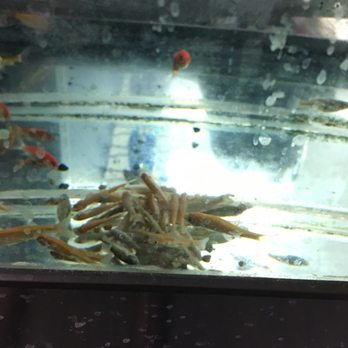 Petco - 32 Photos & 28 Reviews - Pet Groomers - 270 E Lancaster Ave ...