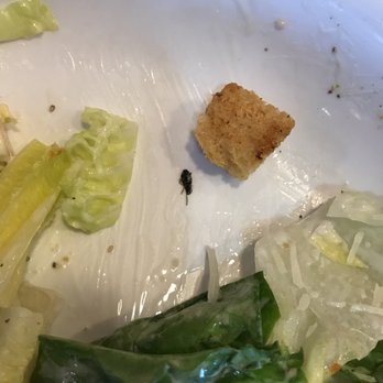 Presto Pasta - 105 Photos & 122 Reviews - Italian - 5722 Telephone Rd ...