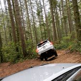 Tahuya State Forest 4x4 Park - 71 Photos - Parks - Belfair, WA - Yelp