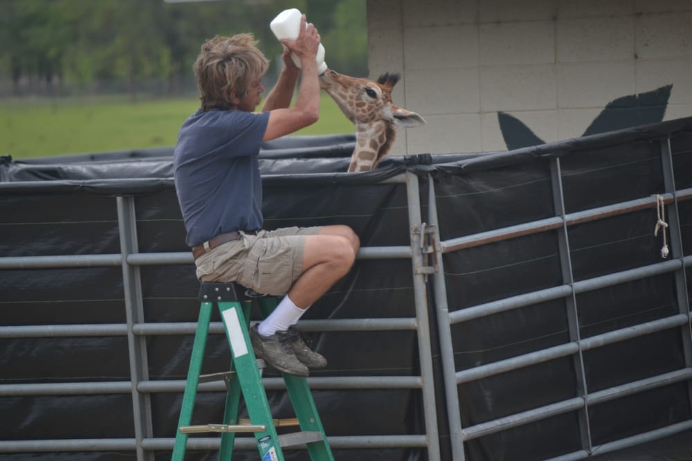 Global Wildlife Center - 420 Photos & 79 Reviews - Zoos - 26389 Hwy 40 ...