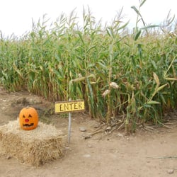 Elwood Orchards - Fruits & Veggies - 54 Elwood Rd, Londonderry, NH ...
