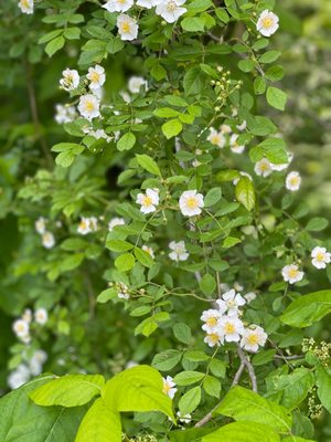 Montvale, NJ Map & Directions - MapQuest