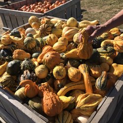 Holmberg Orchards - 76 Photos & 48 Reviews - Fruits & Veggies - 12 ...