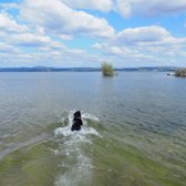 Beals Point Campground - 66 Photos & 11 Reviews - Campgrounds - 7806 ...