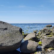Colt State Park - 100 Photos & 55 Reviews - Parks - Hope St, Bristol ...