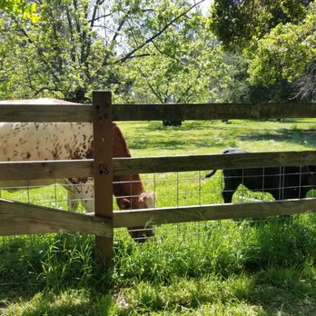 Ardenwood Historic Farm - 652 Photos & 208 Reviews - Parks - 34600 ...