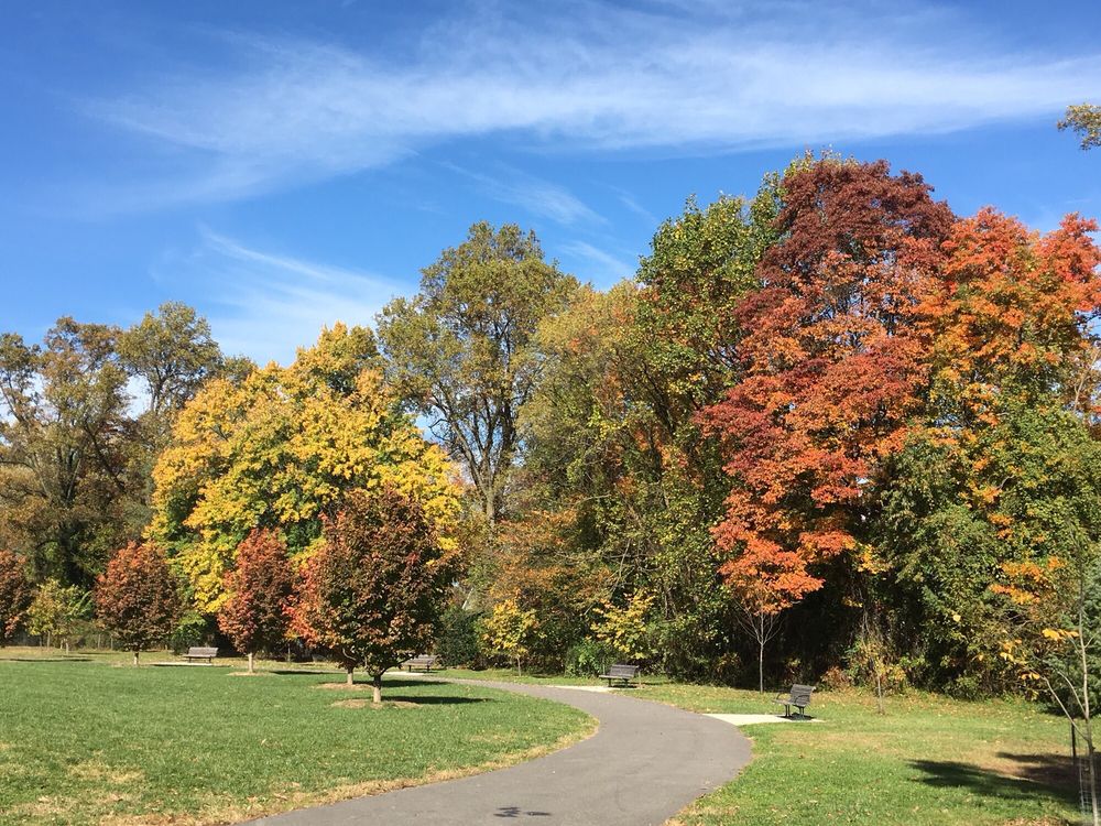 North Four Corners Local Park - Parks - 211 Southwood Ave, Silver ...