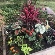 The Flower Ranch - 10 Photos & 13 Reviews - Nurseries & Gardening - 901 ...