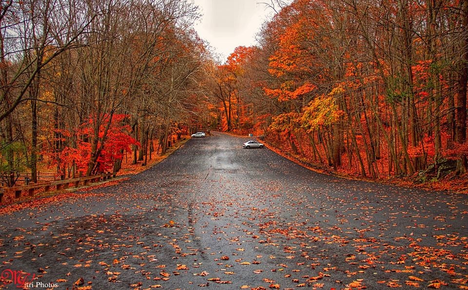 Blue Mountain Reservation - 23 Photos & 19 Reviews - Hiking - Welcher ...