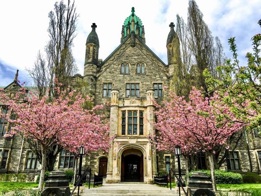 Trinity College - Colleges & Universities - 6 Hoskin Avenue, University ...