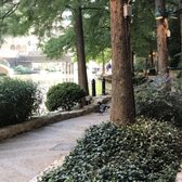 Zocca Cuisine D’Italia - 239 Photos & 276 Reviews - Italian - 420 W ...