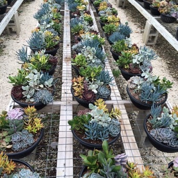 Isaac Farms - 131 Photos & 15 Reviews - Nurseries & Gardening - 18800 ...