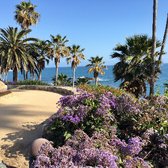 Heisler Park - 806 Photos & 150 Reviews - Parks - 361 Cliff Dr, Laguna ...
