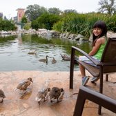 CSUN Pond - 316 Photos & 75 Reviews - Parks - 18111 Nordhoff St ...