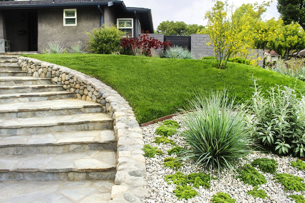 Canyon Living Landscaping Ideas