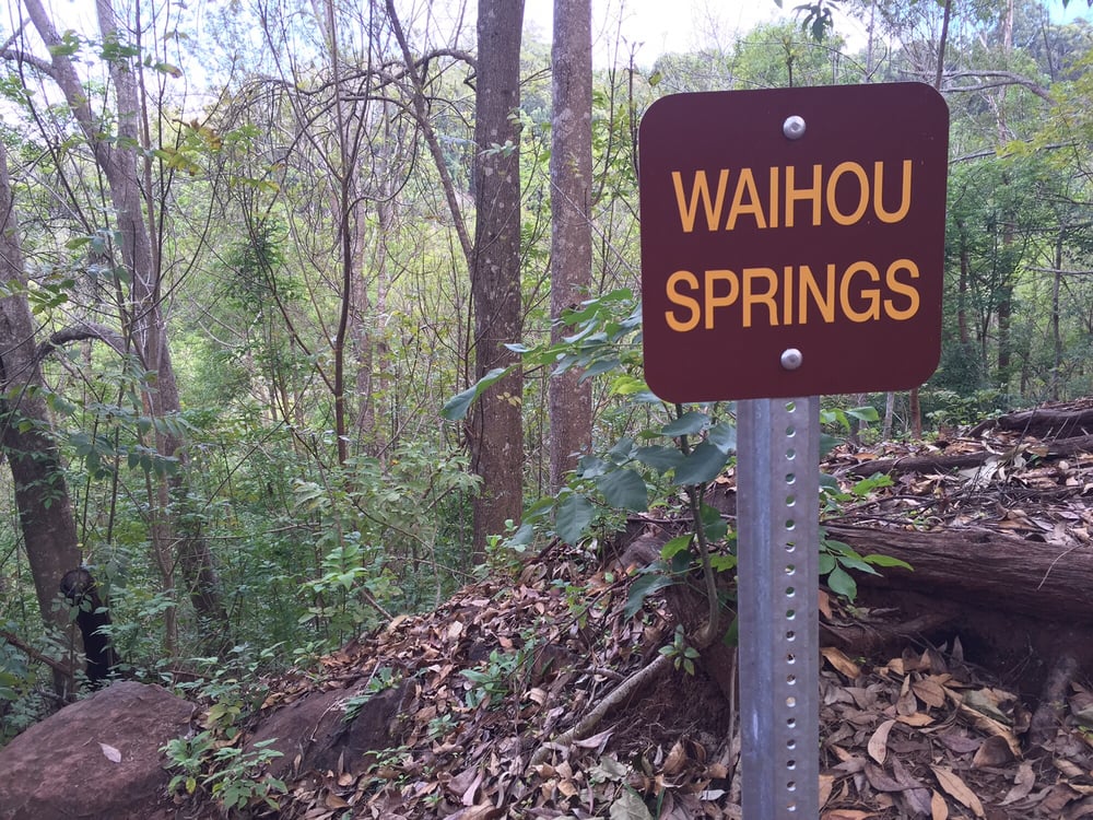 Waihou Spring Trail - 18 Photos - Hiking - 2463 Olinda Rd, Makawao, HI ...