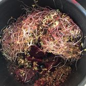 Destroyer - 721 Photos & 248 Reviews - American (New) - 3578 Hayden Ave ...