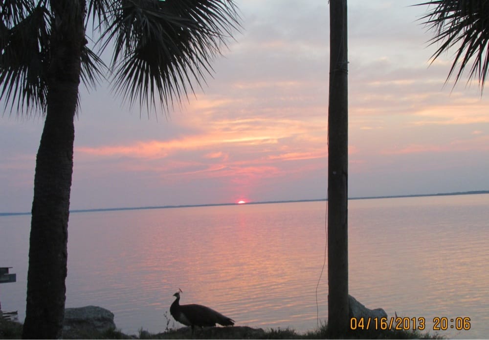 Eastpoint Florida Zillow at Isaac Oppen blog