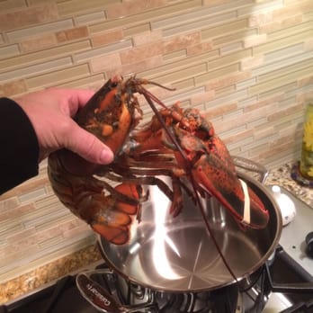 Supreme Lobster and Seafood Company - 85 Photos & 59 Reviews - Seafood ...