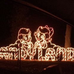 Bright Nights At Forest Park - 89 Photos & 29 Reviews - Bus Tours - 300 ...