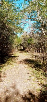 Dime Box, TX Map & Directions - MapQuest