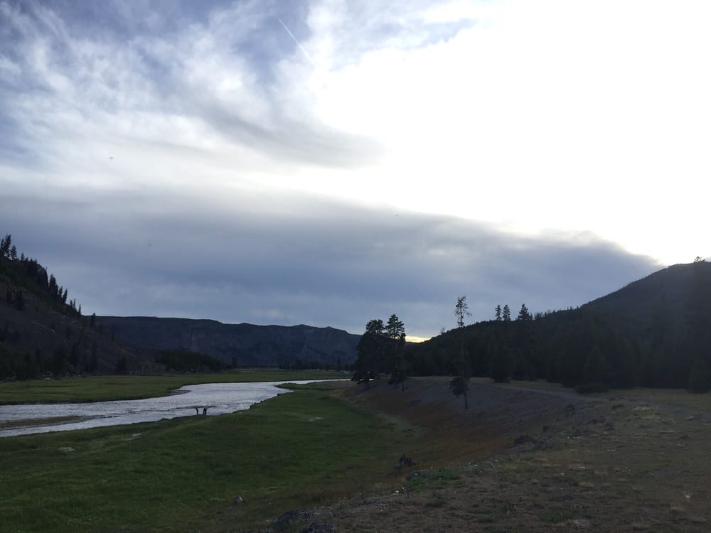 Madison Campground - 12 Reviews - Campgrounds - Yellowstone National ...