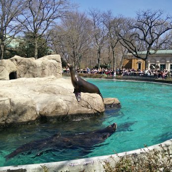 Bronx Zoo - (New) 3267 Photos & 1019 Reviews - Zoos - 2300 Southern ...