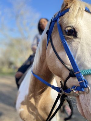 Damon, TX Map & Directions - MapQuest