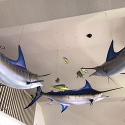 Gray Taxidermy - 47 Photos & 20 Reviews - Fishing - 712 NW 12th Ave ...