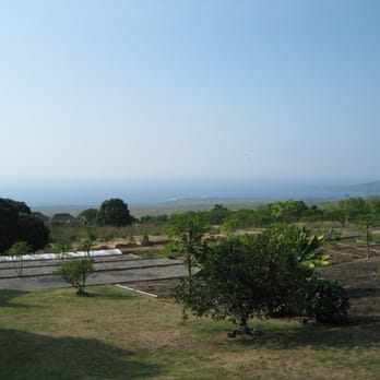 Bay View Farm - 37 Photos & 20 Reviews - Coffee Roasteries - 83-5249 ...