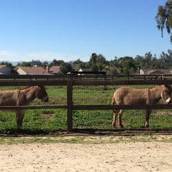 Jensen-Alvarado Historic Ranch & Museum - 51 Photos - Landmarks ...