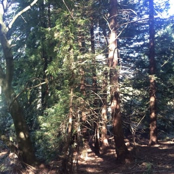 Berkeley Fire Trails - 235 Photos & 99 Reviews - Parks - Centennial Dr ...