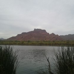 Coon Bluff - 12 Photos - Campgrounds - Coon Bluff Rd, Mesa, AZ - Phone ...