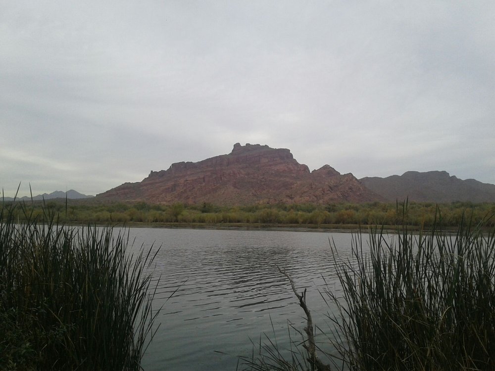 Coon Bluff - 12 Photos - Campgrounds - Coon Bluff Rd, Mesa, AZ - Phone ...