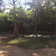 Castroville Regional Park - 28 Photos - Parks - County Rd 573 ...