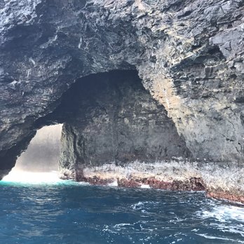 Blue Dolphin Charters - 329 Photos & 478 Reviews - Boating - 4353 ...