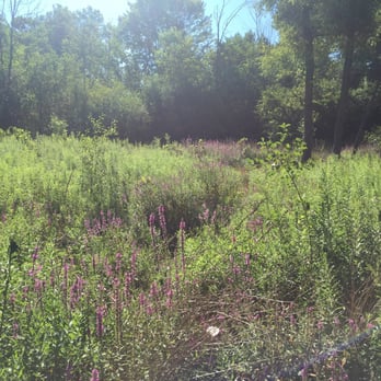 Carpenter Lake Nature Preserve - 108 Photos & 26 Reviews - Hiking - 10 ...