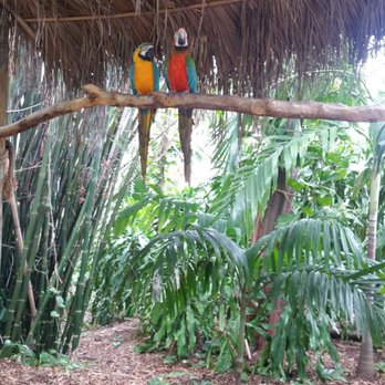 Jungle Island - 658 Photos & 316 Reviews - Amusement Parks - 1111 ...