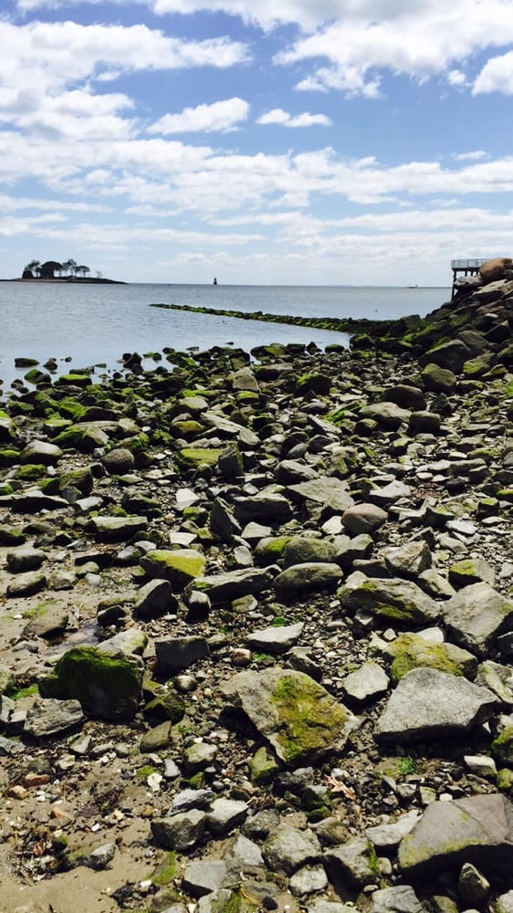 Calf Pasture Beach - 108 Photos & 33 Reviews - Beaches - 125 E Ave ...