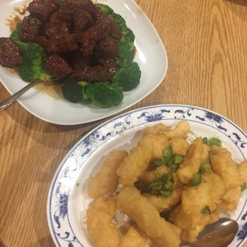 Noodle King Restaurant - 165 Photos & 164 Reviews - Chinese - 12705 New ...