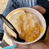 SnoCream Company - 1053 Photos & 602 Reviews - Shaved Ice - 4221 John ...