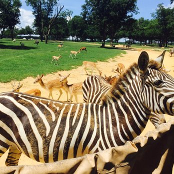 Global Wildlife Center - 200 Photos & 50 Reviews - Zoos - 26389 Hwy 40 ...