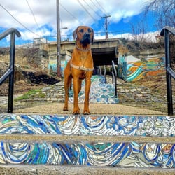 The Towpath - 16 Photos - Hiking - Alongside the Manayunk Canal & the ...